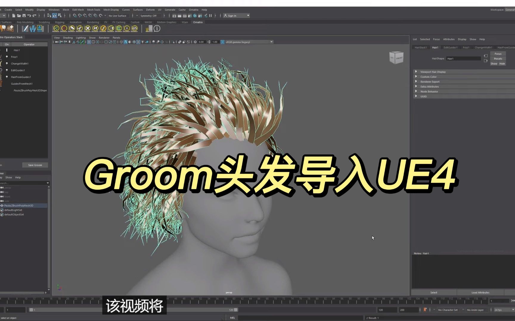 UE5_Groom毛发导入与Groom模拟
