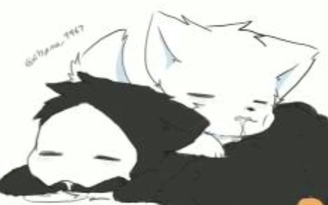 changed杂图 普罗篇（3）_哔哩哔哩bilibili