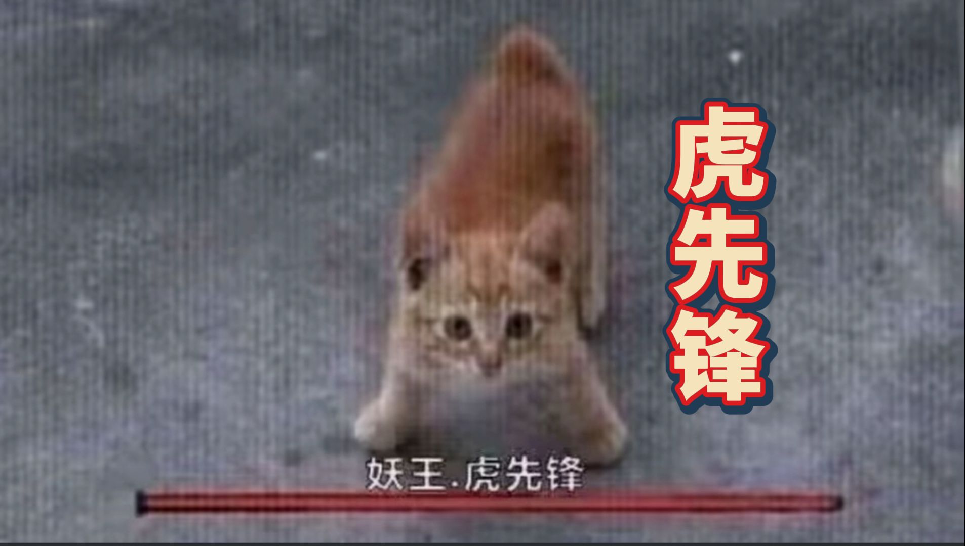 小小大橘，直接撸了！【黑神话悟空】-露米Lumi_Official-露米Lumi_Official-哔哩哔哩视频