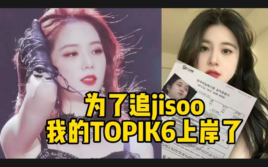 没想到秀秀的魅力这么大，花了我一年的时间考过了TOPIK6级，备考的笔记资料都用不上了，删了舍不得_哔哩哔哩_bilibili