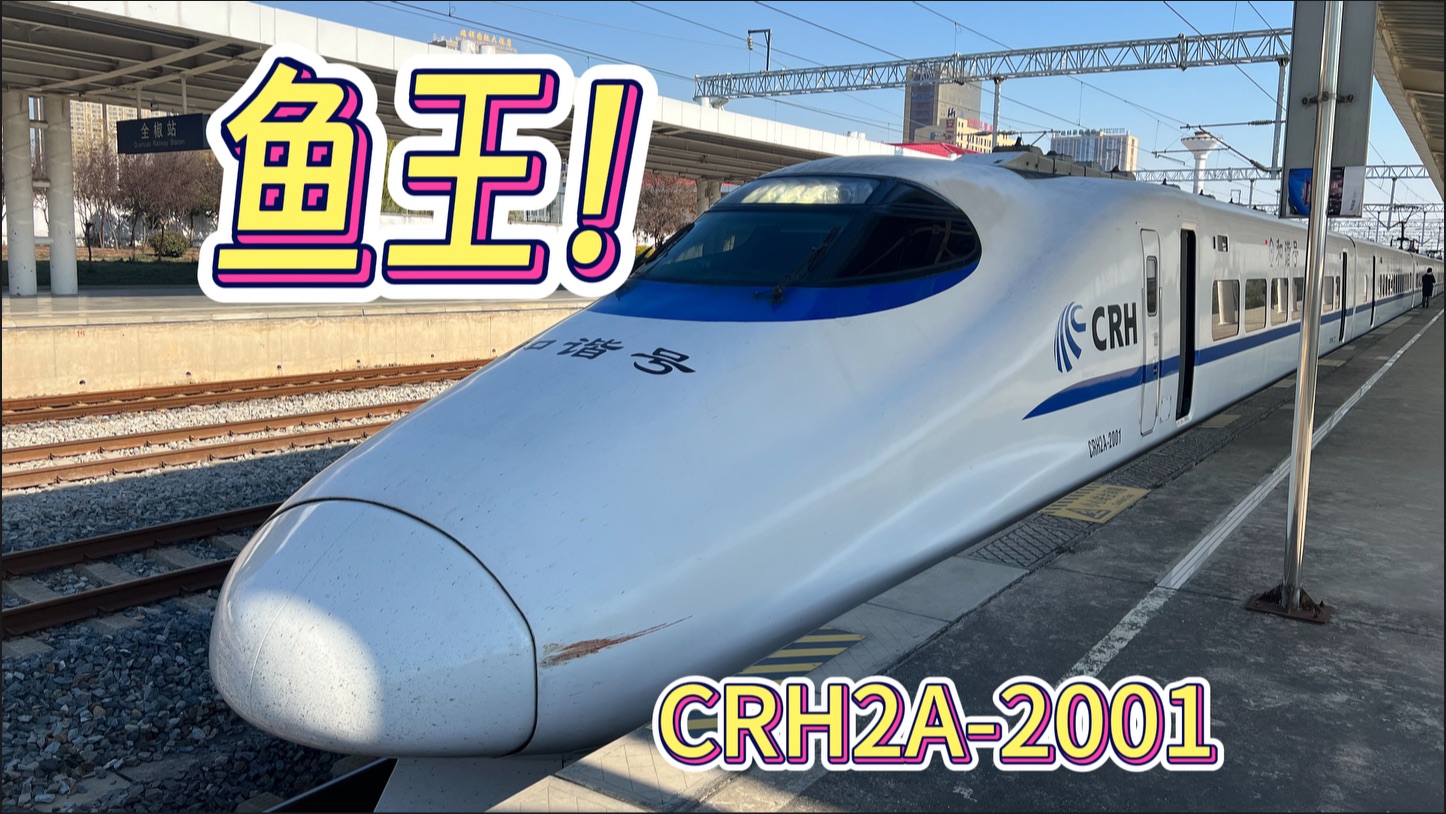 鱼王驾到！CRH2A-2001周末运转-贪睡的懒熊猫-ZZZ-贪睡的懒熊猫-ZZZ-哔哩哔哩视频