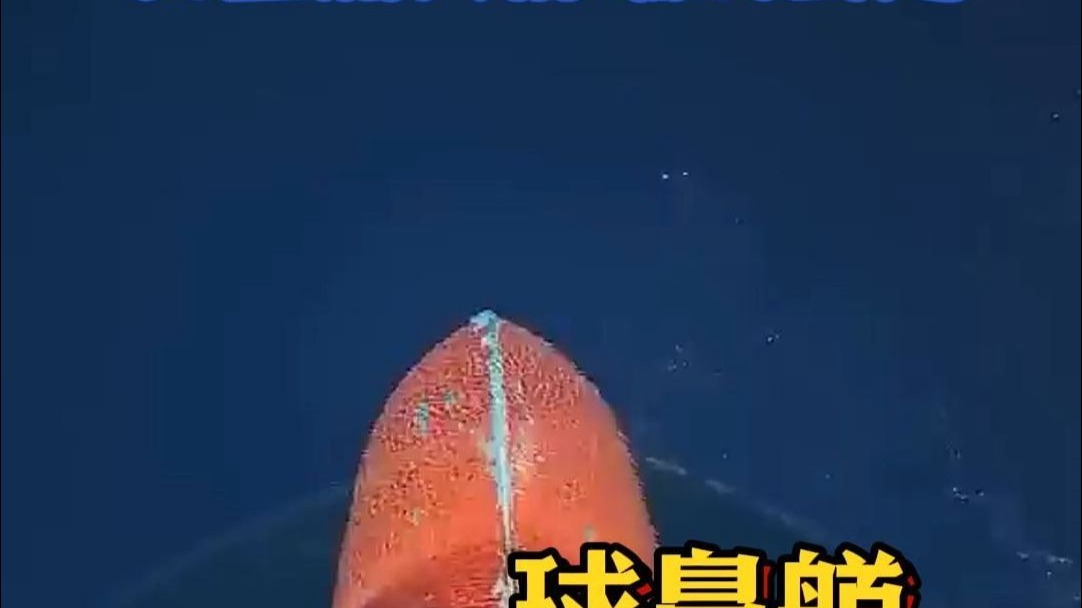 球鼻艏的作用与破浪原理-奇妙的世界QAQ-奇妙的世界QAQ-哔哩哔哩视频