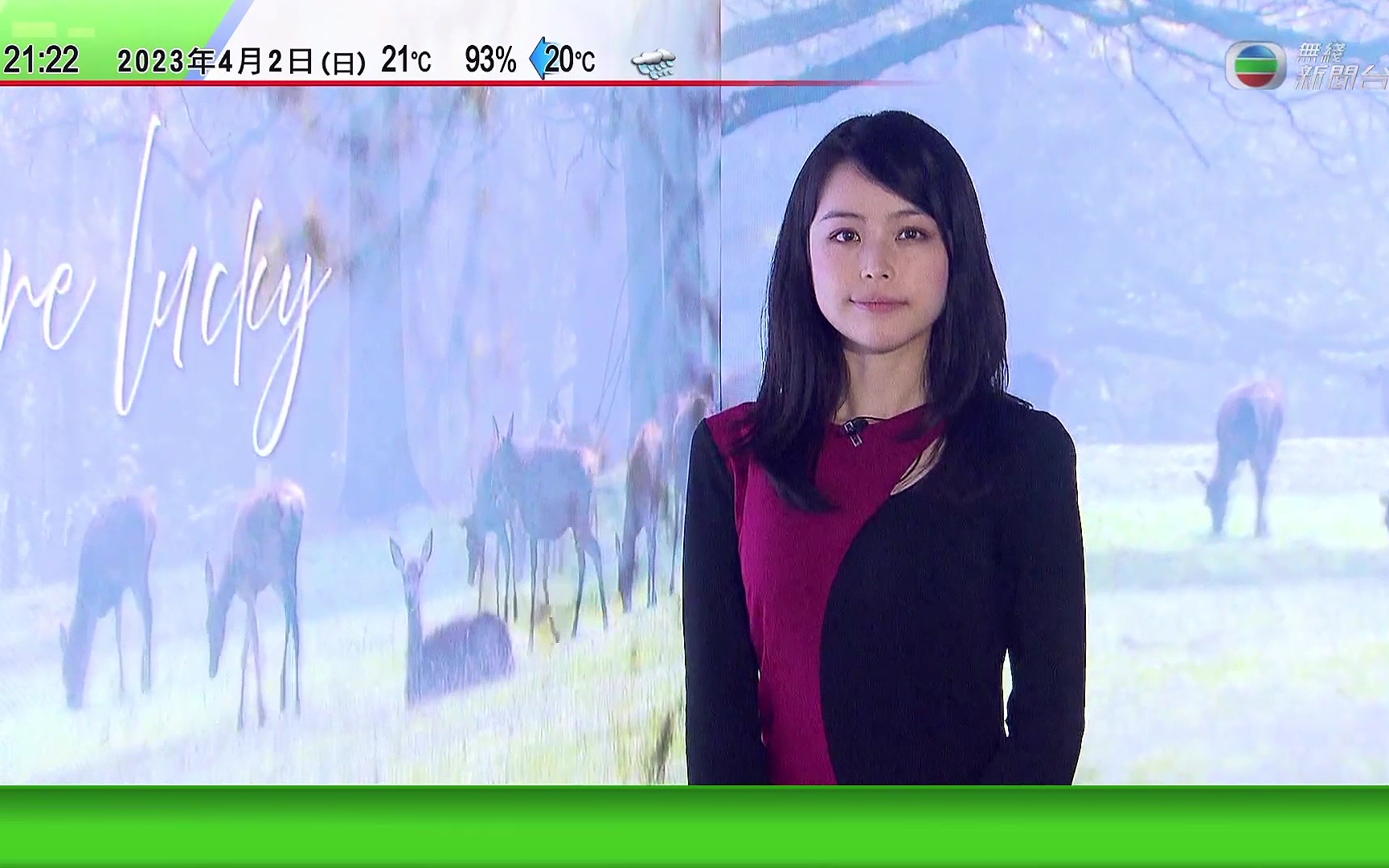 【TVB明珠台】晚间新闻20230402林婷婷cut