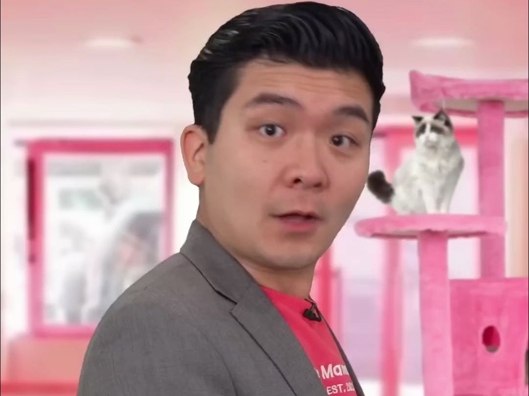 废物管理公司的猫咖 3【Steven He】-Steven_He官方账号-Steven_He官方账号-哔哩哔哩视频