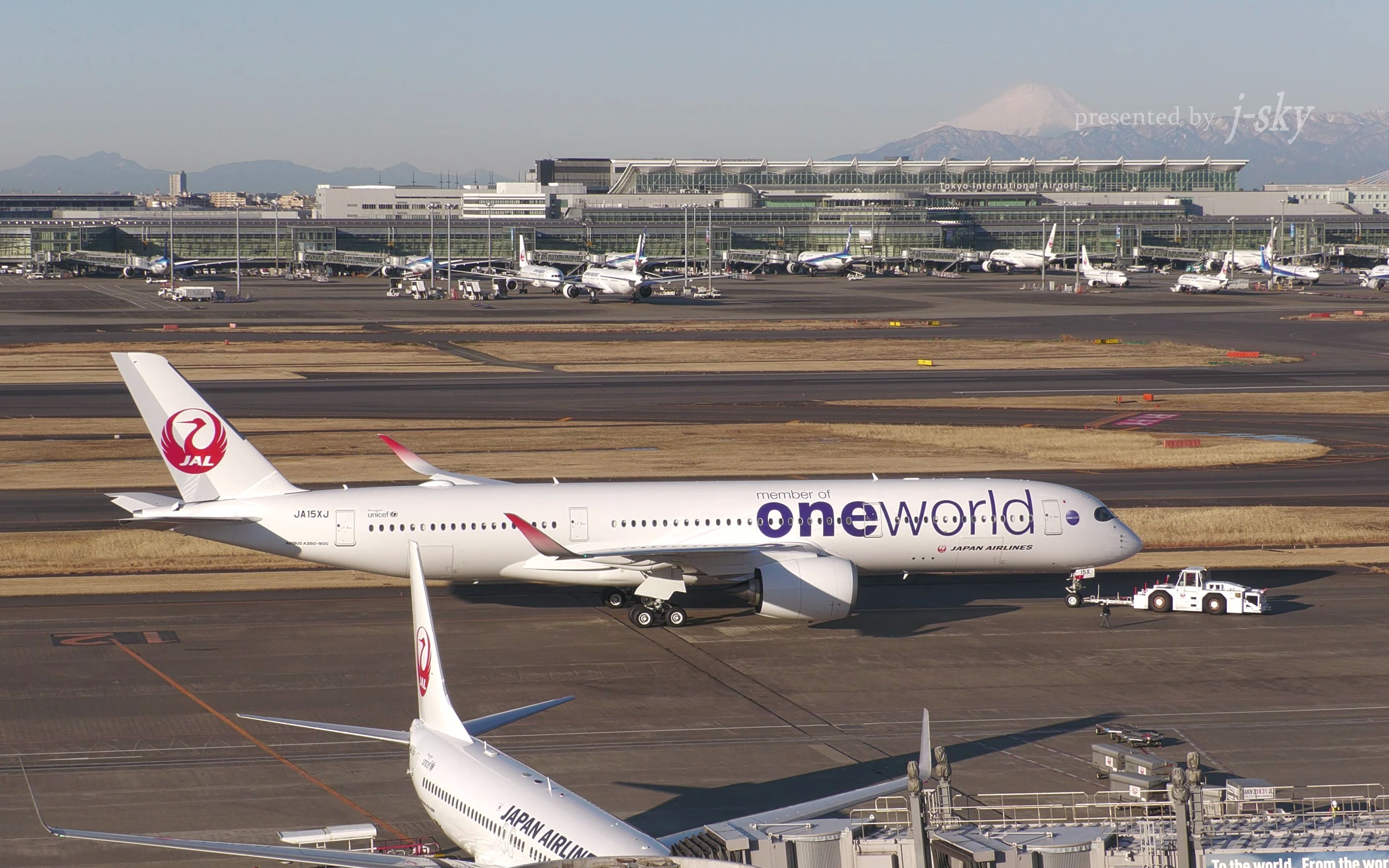 JAL A350 JL903/904/919｜羽田空港｜4K_哔哩哔哩_bilibili