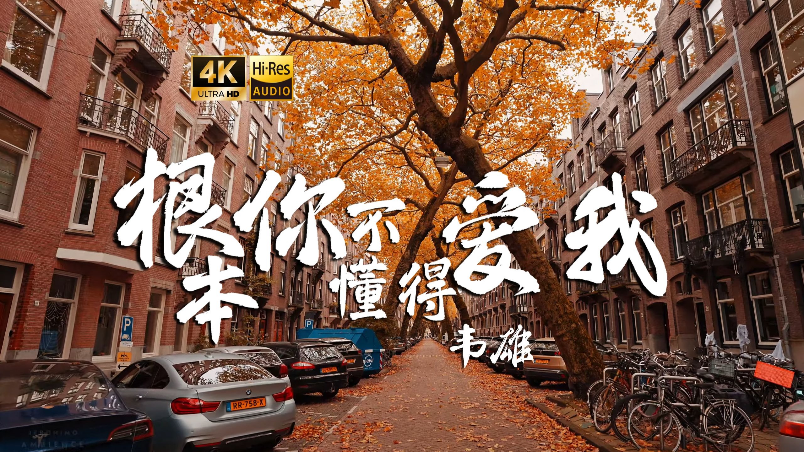 【4K Hi-Res】根本你不懂得爱我_韦雄 街景比歌曲要美-你去巴黎我在北京-你去巴黎我在北京-哔哩哔哩视频