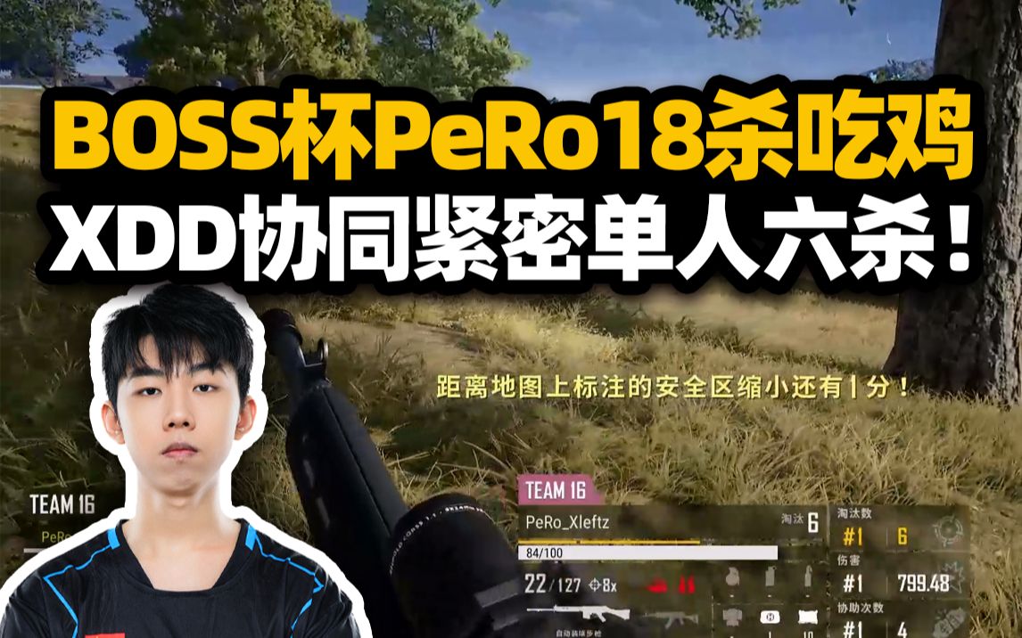 Boss杯飘柔18杀吃鸡！XDD协同紧密单人六杀 崔指左突磨合初见成效！-小叮当频道-小叮当频道-哔哩哔哩视频