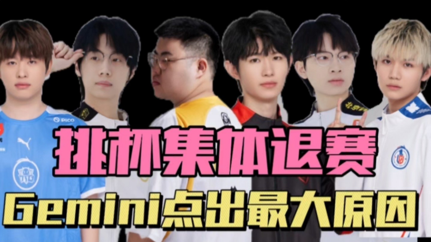 Gemini点出挑杯集体退赛原因，奖金加个0就都不休息了，不到王者周营收的零头-王者天黑君-王者天黑君-哔哩哔哩视频