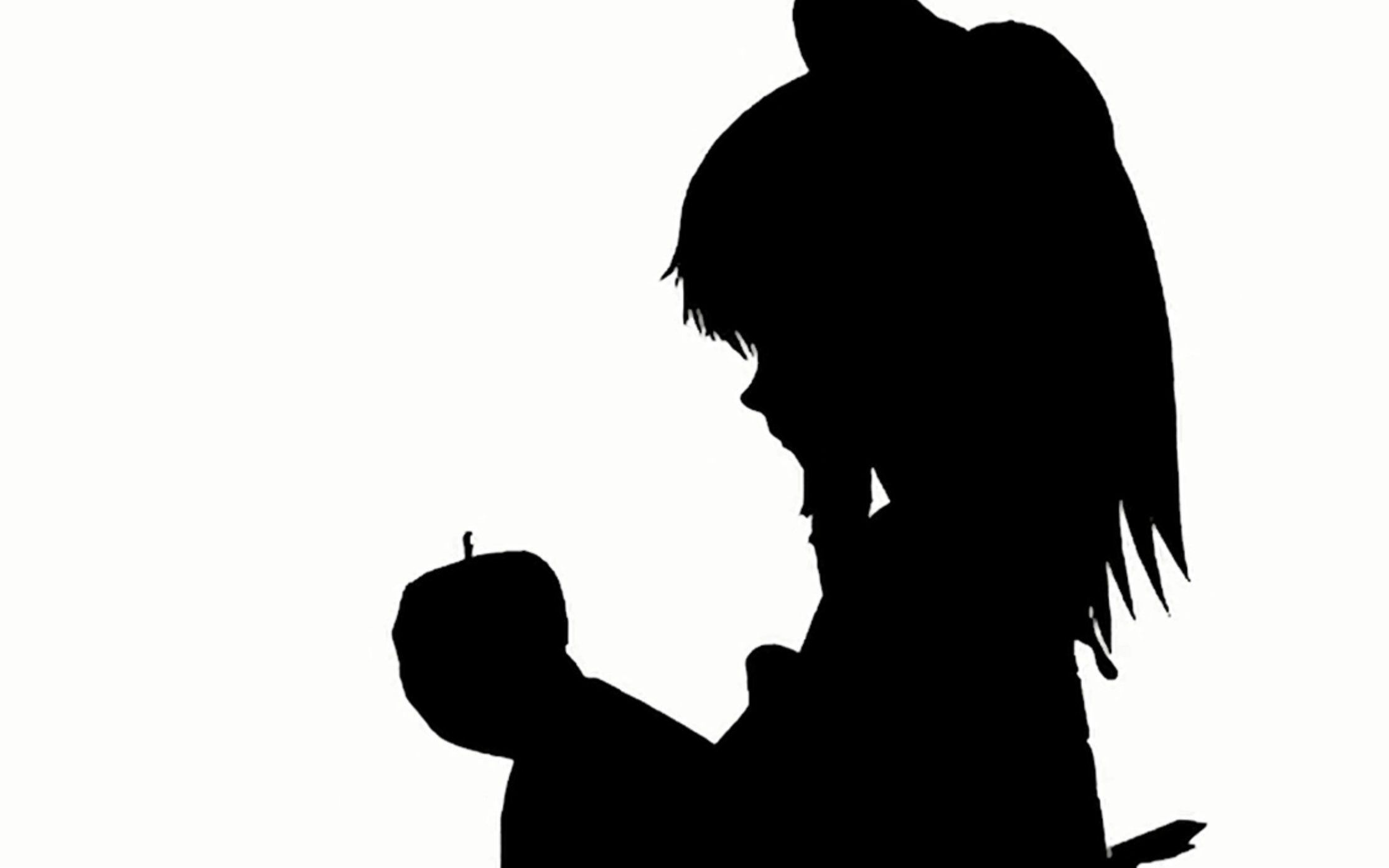 【黑屏弹幕动画】Bad Apple!!（AI黑白帧绘版）_哔哩哔哩_bilibili
