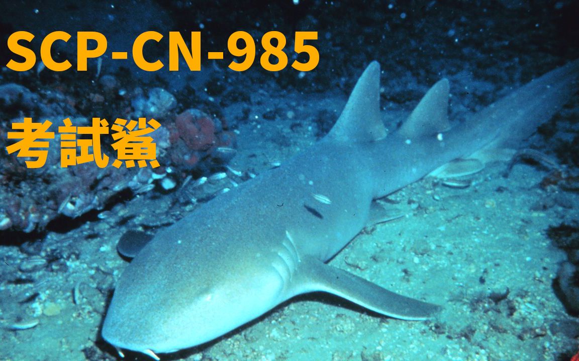 【SCP基金會】 SCP-CN-985 -考試鯊_哔哩哔哩 (゜-゜)つロ 干杯~-bilibili