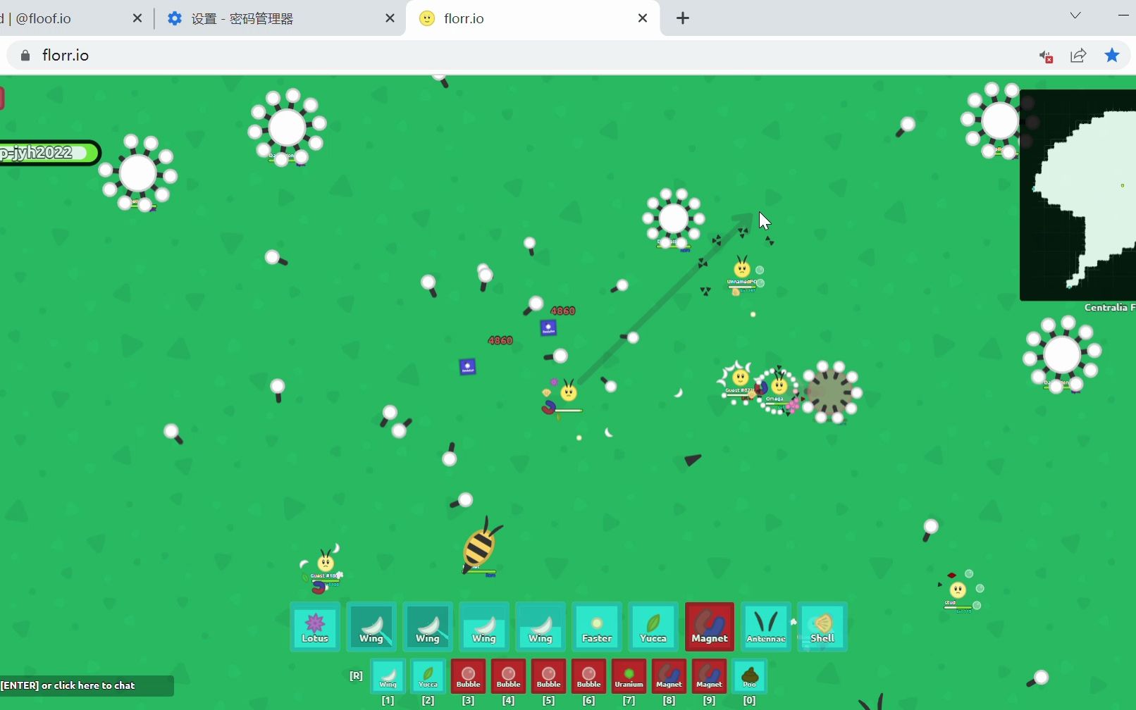 florr.io - Florr的末日