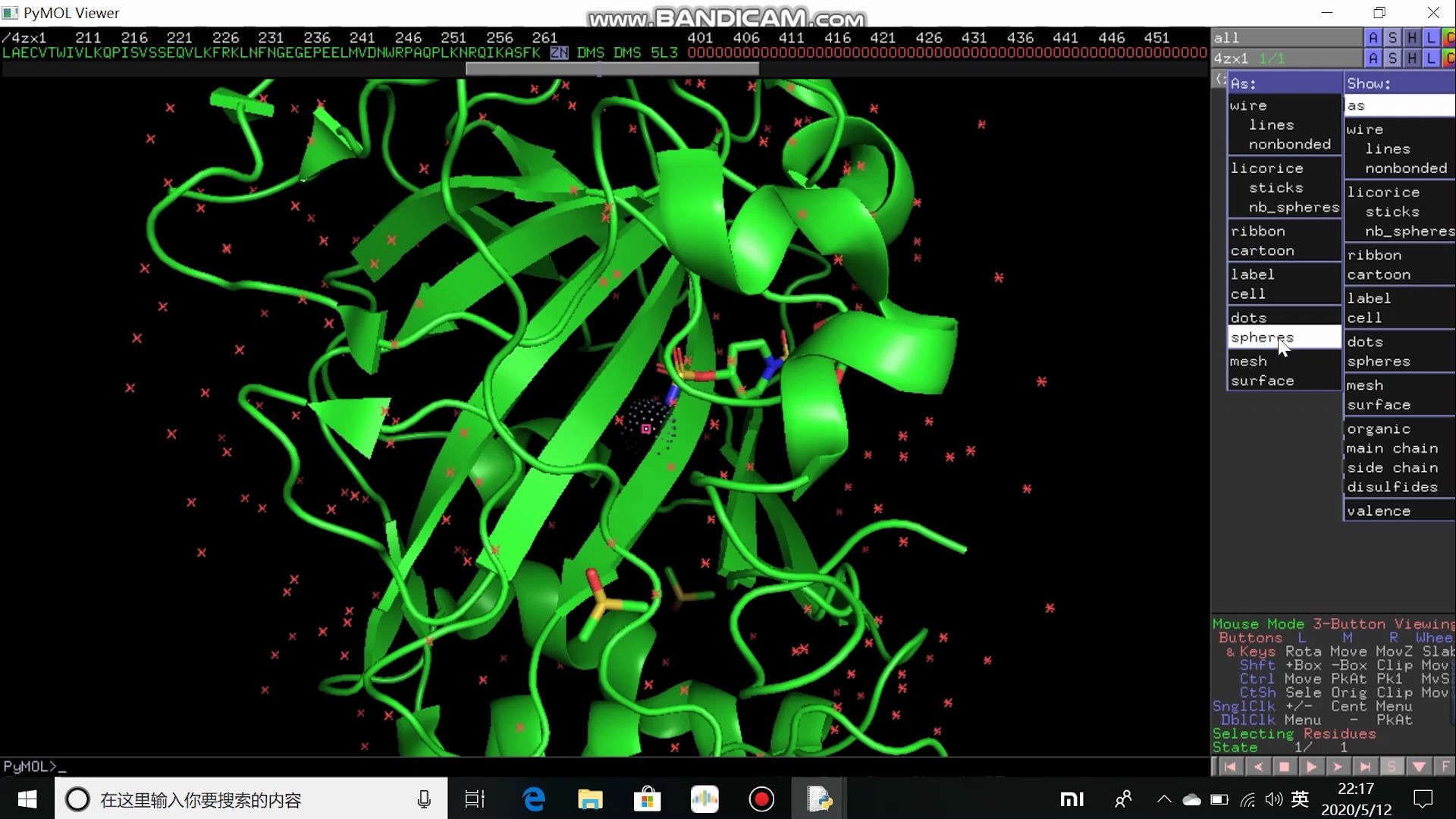 【PyMol作图入门】——6.拆分亚基和两结构比对align