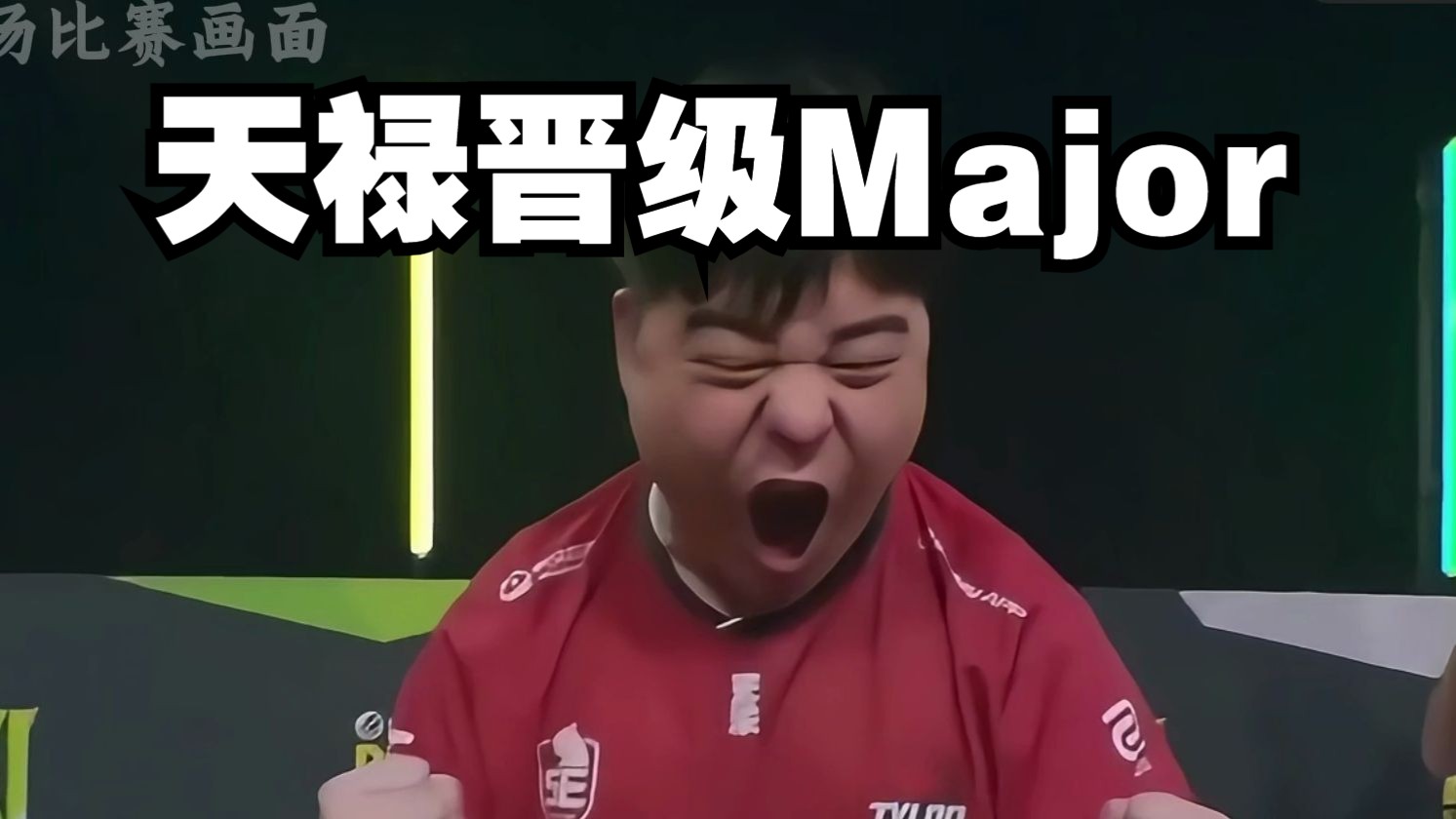 Tyloo时隔四年晋级Major正赛 小菊 莫思雨和汉堡荣获职业生涯第一张贴纸-CSGO赛事Jun-CSGO赛事Jun-哔哩哔哩视频