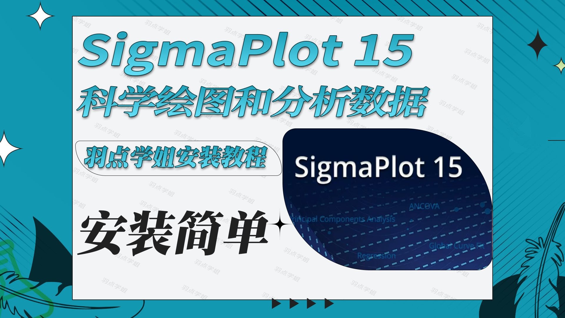 正版SigmaPlot15.0专业科学绘图软件安装教程-羽点学姐-羽点学姐-哔哩哔哩视频