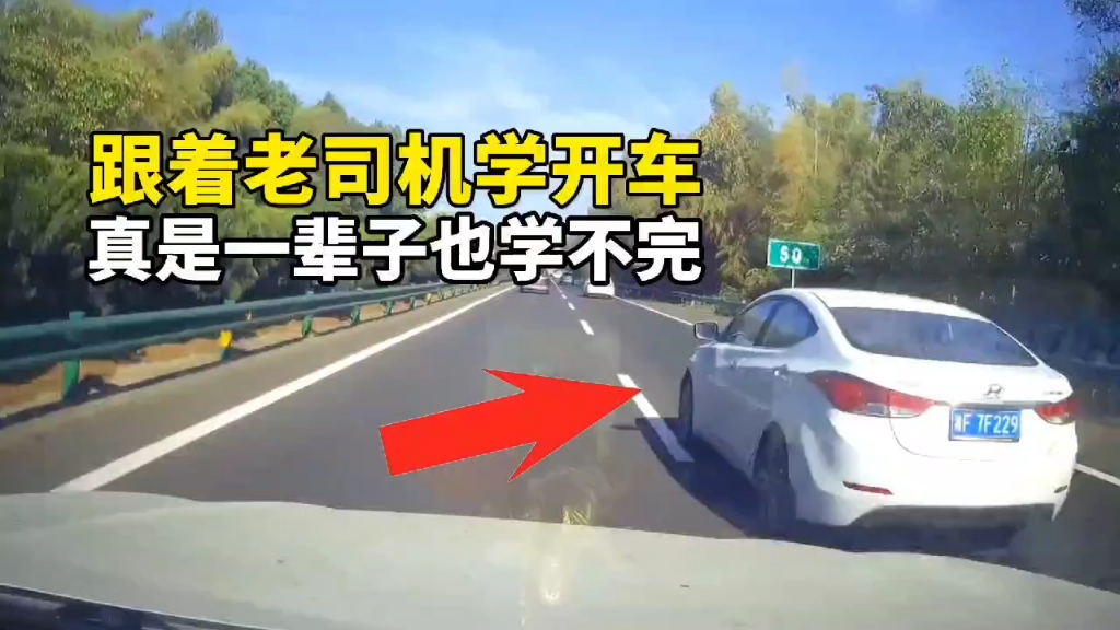 跟着老司机学开车，真是一辈子也学不完 没脸鉴车 没脸鉴车 哔哩哔哩视频 