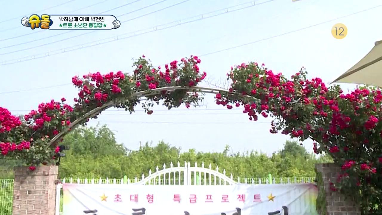 【TSKS】超人回来了.E348.200726.中字_哔哩哔哩 (゜-゜)つロ 干杯~-bilibili