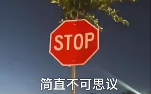 真正的强者从不抱怨环境 彬彬找乐子 彬彬找乐子 哔哩哔哩视频