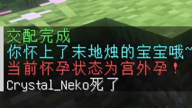 [男女慎入]我在MC中添加了宫外孕！-CrystalNeko-CrystalNeko-哔哩哔哩视频