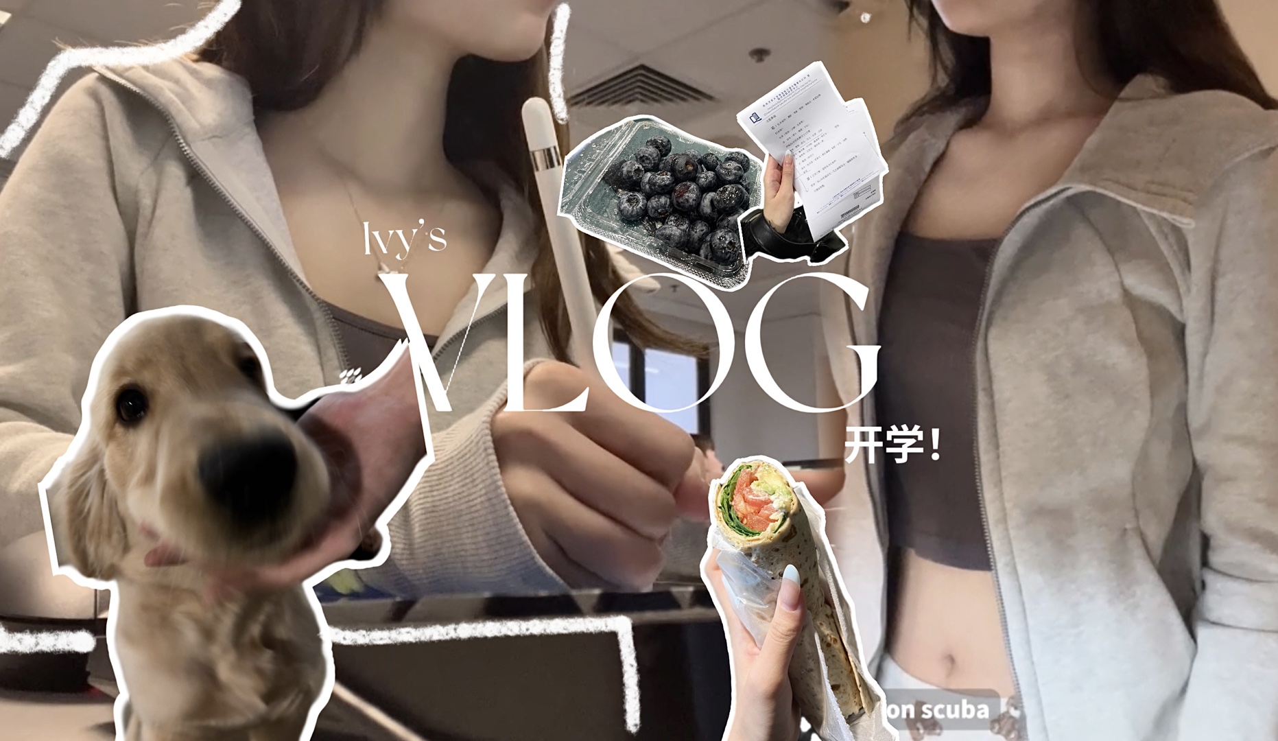 Ivy’s VLOG｜大二女生回hk开学的第一周ʕ •ᴥ•ʔ｜学习浓度拉满 和我一起上课吧-_二晗_-_二晗_-哔哩哔哩视频