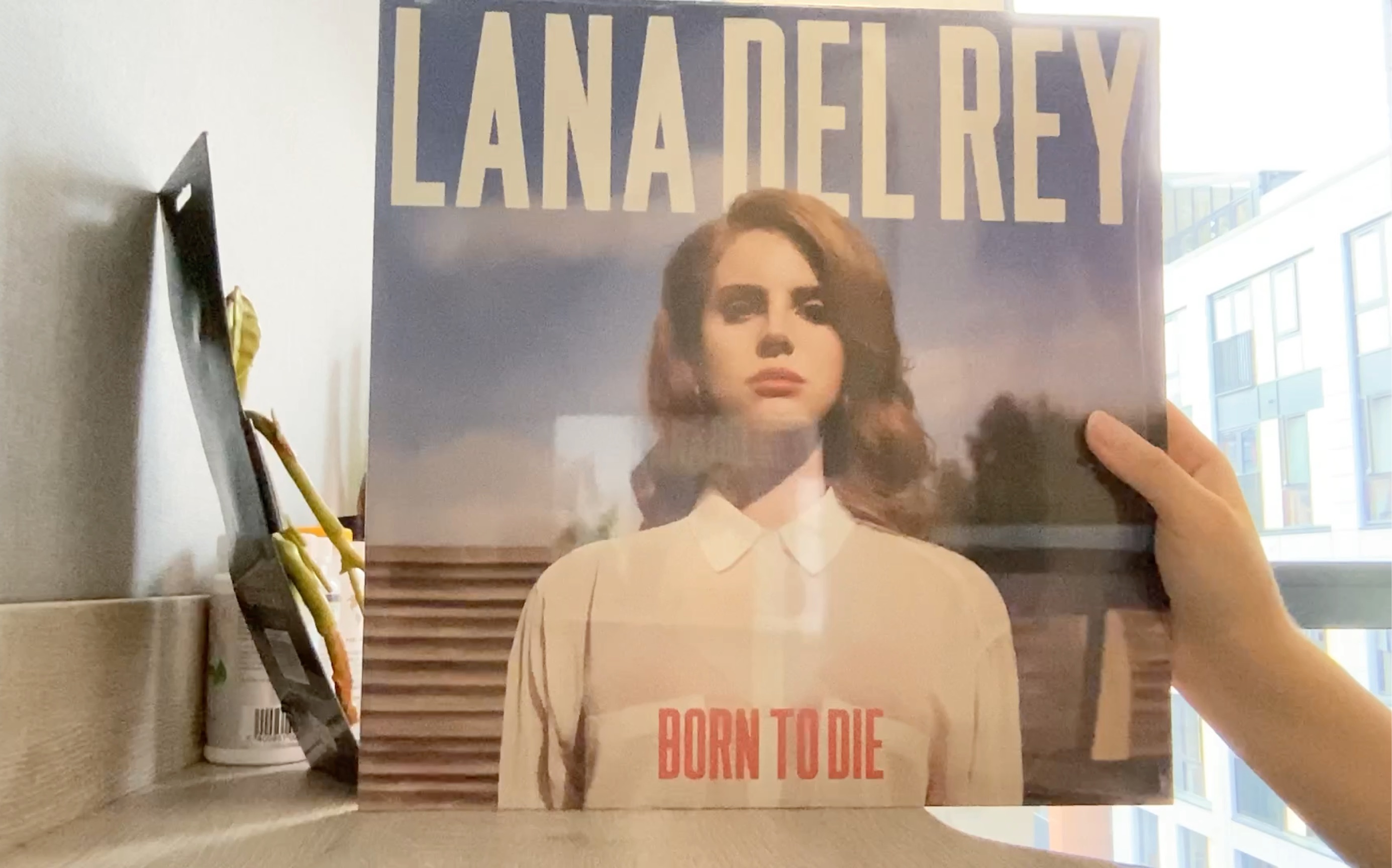 打雷姐born to die 黑胶拆碟_哔哩哔哩_bilibili