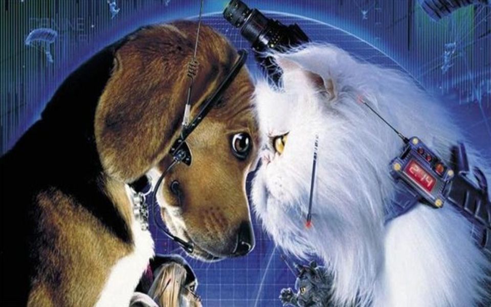 猫狗识别代码详解 使用tensorflow Cnn 实现猫狗二分类哔哩哔哩bilibili