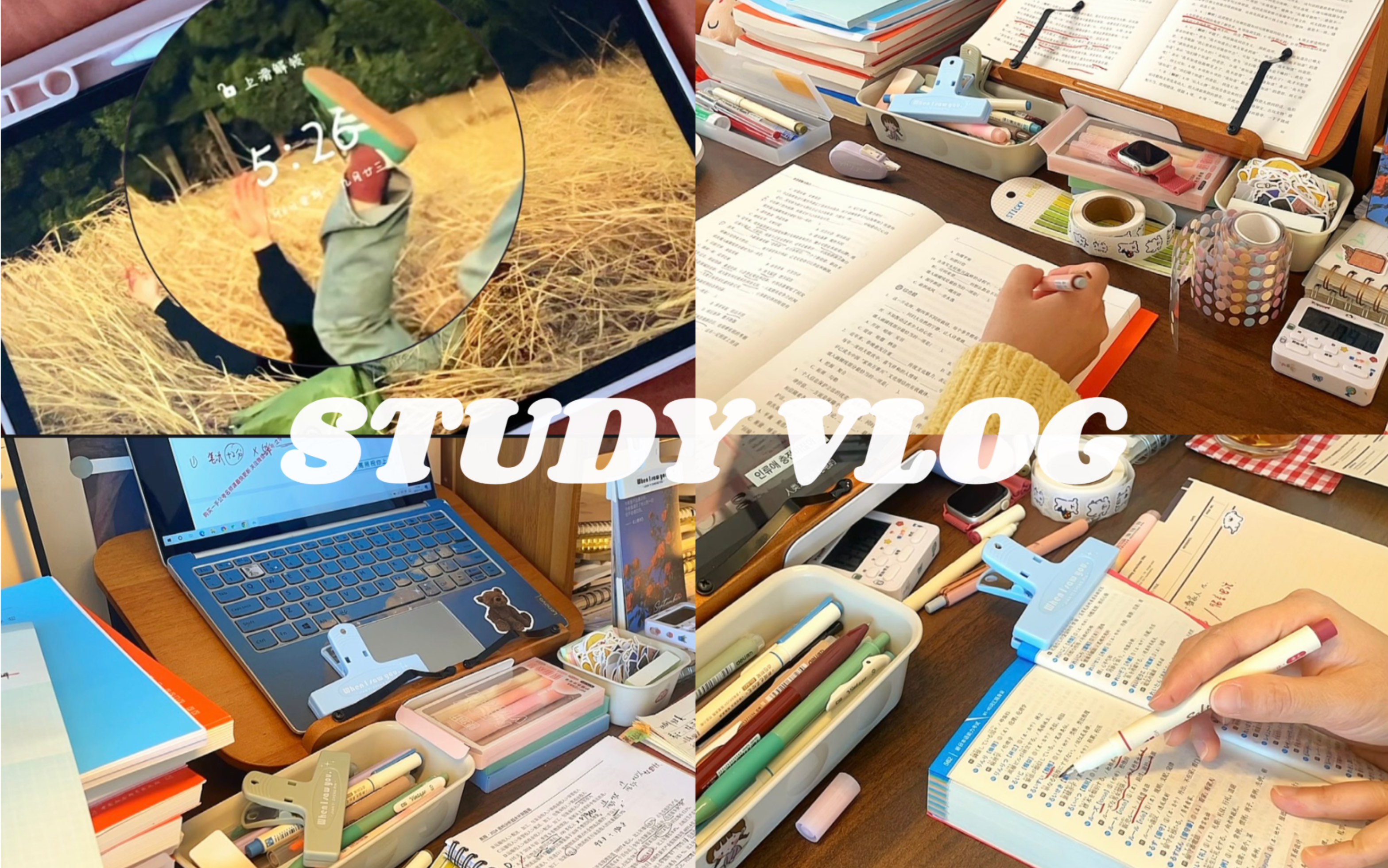 study vlog 57｜5点早起·姐6h学习已完成｜“就努力看看会结什么果”｜纯动力学习｜资料｜早起｜励志学习｜事业编-施施一定会上岸的-施施一定会上岸的-哔哩哔哩视频