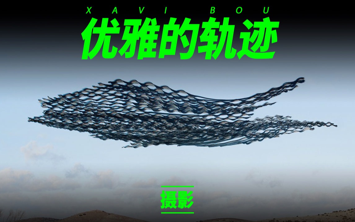 Xavi Bou 以一种前所未见的方式拍摄的飞鸟-Ulna_Chen-作品讲解-哔哩哔哩视频