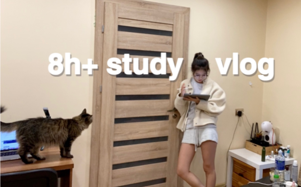 Study vlog|学习8h+*努力即才能*猫猫捣乱学习*买了一些圣诞元素的小东西*为什么我不能在家学习*人好猫坏！-栗子多加辣-栗子多加辣-哔哩哔哩视频