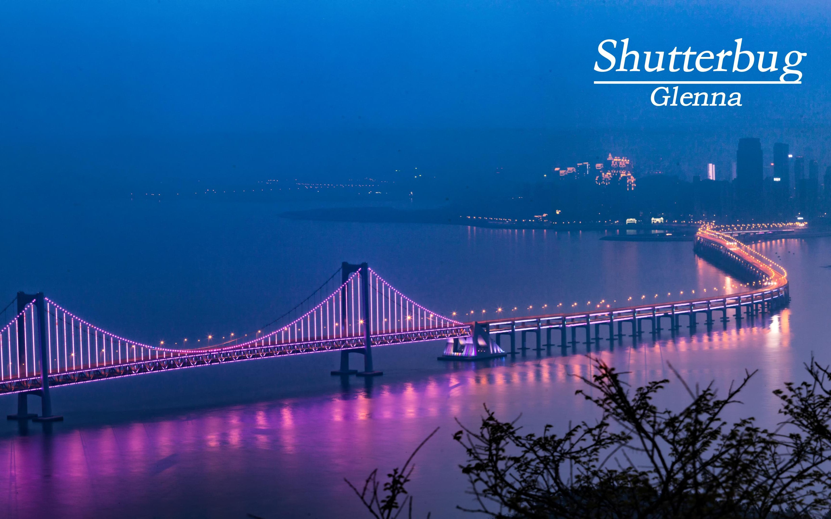 “温柔的歌想分享给温柔的你”《Shutterbug》-居居百宝箱-居居百宝箱-哔哩哔哩视频