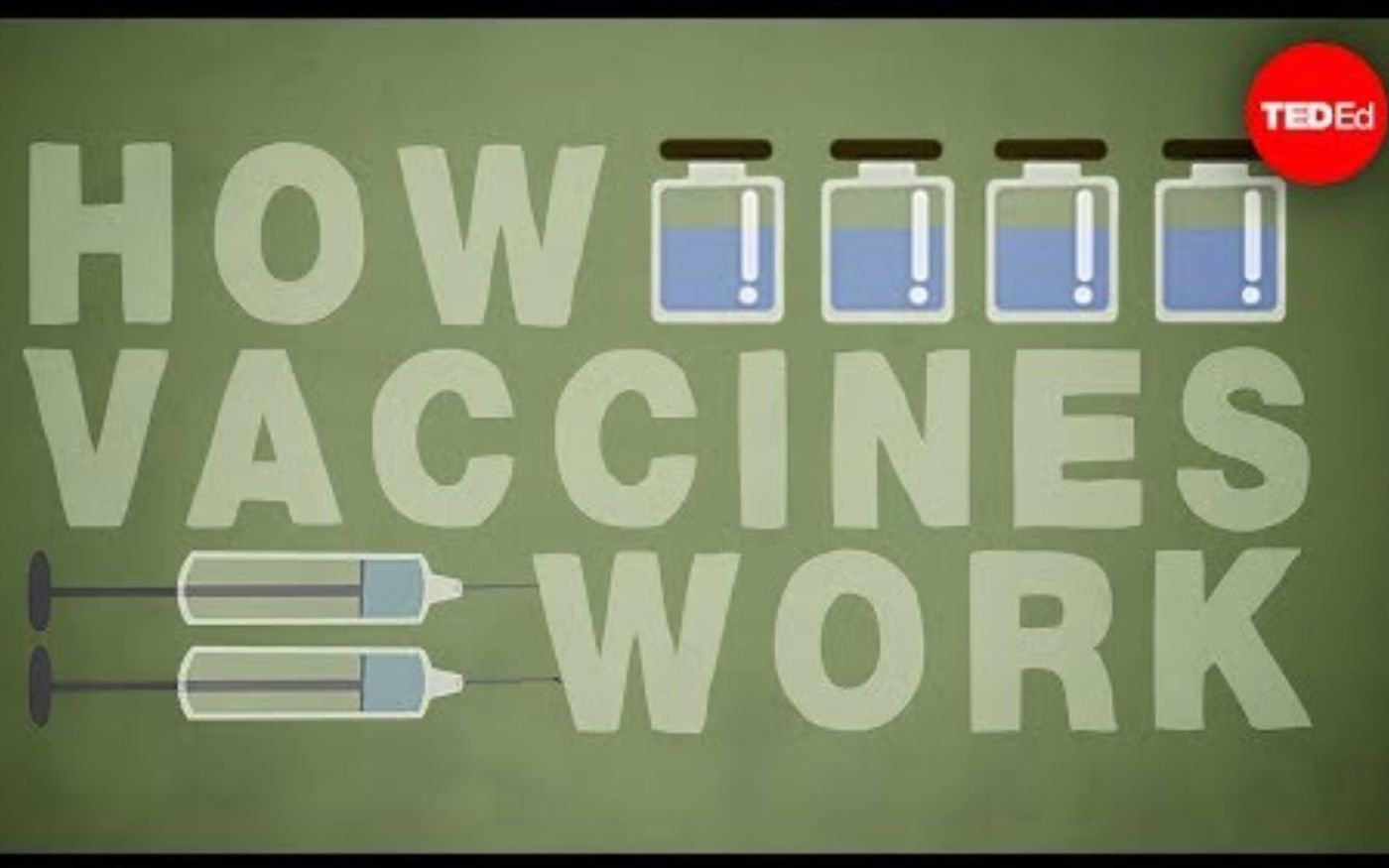 【Ted-ED】疫苗的运作原理 How Do Vaccines Work_哔哩哔哩_bilibili