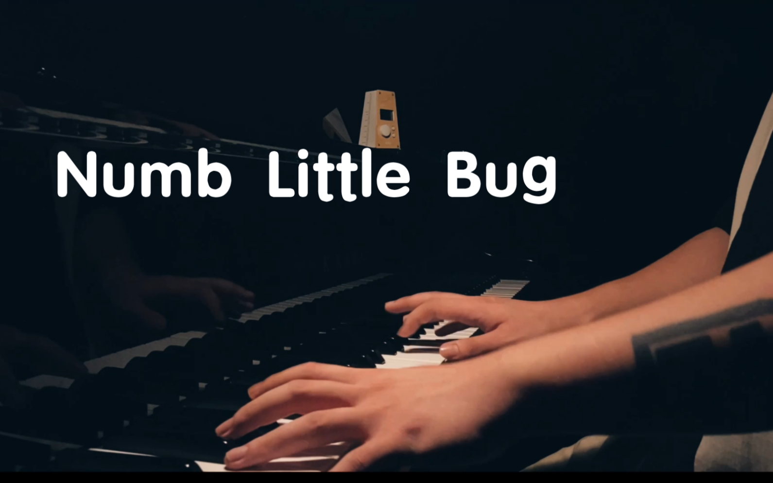 《Numb Little Bug》钢琴_哔哩哔哩_bilibili
