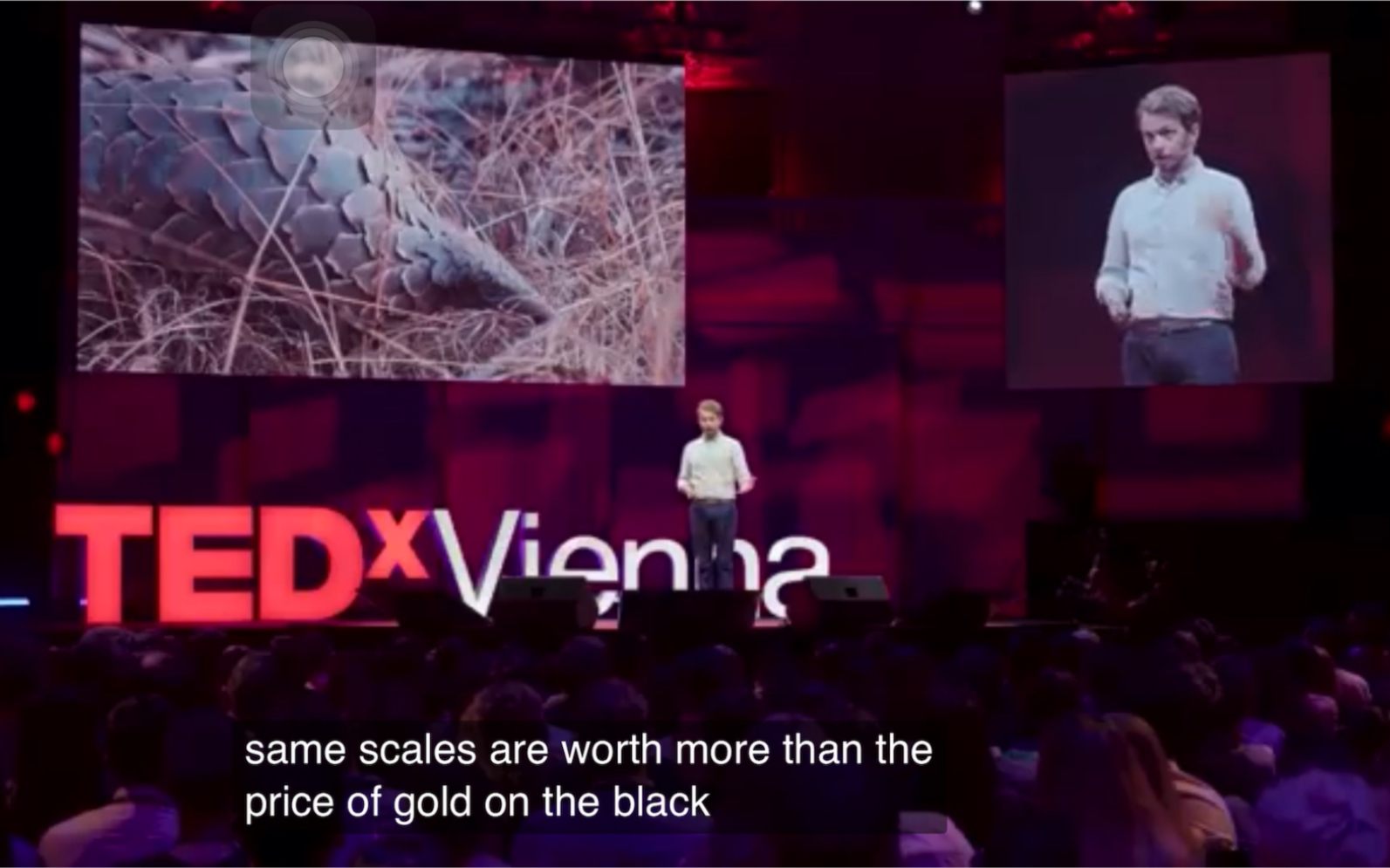 【TED演讲】Modern Wildlife Conservation in a Turbulent World._哔哩哔哩_bilibili