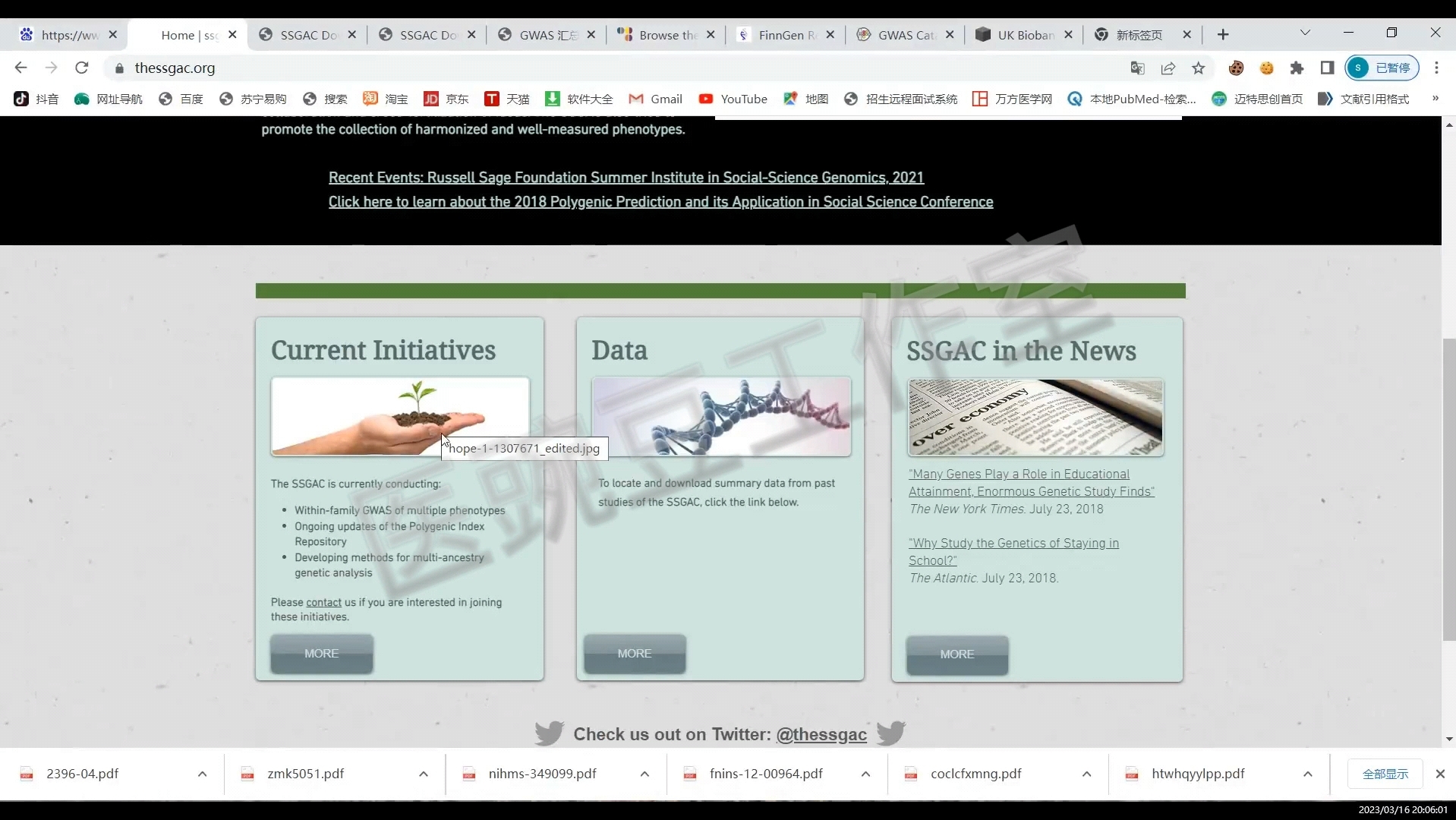 孟德尔随机化MendelR安装与使用