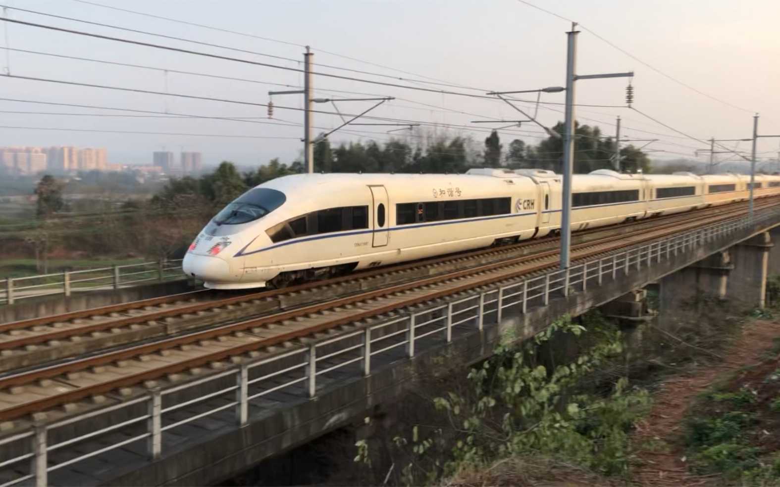 G2183成都东-长沙南（广铁CRH3C-3043）通过乐山兴福村 17:29 20220101_哔哩哔哩_bilibili