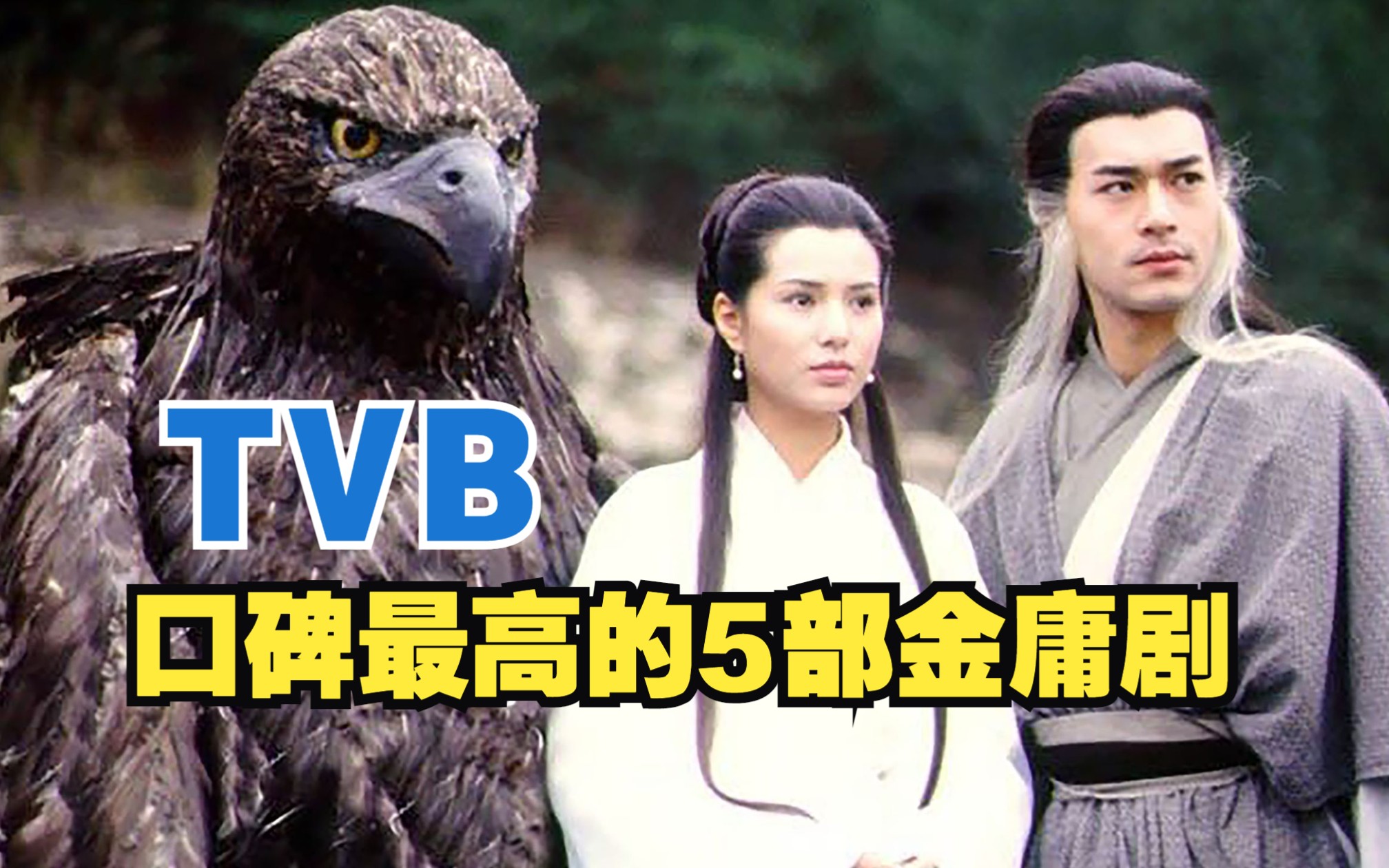 TVB口碑最高的五部金庸剧：97《天龙八部》仅排第三，第一名实至名归！-楼下粉猪君-楼下粉猪君-哔哩哔哩视频