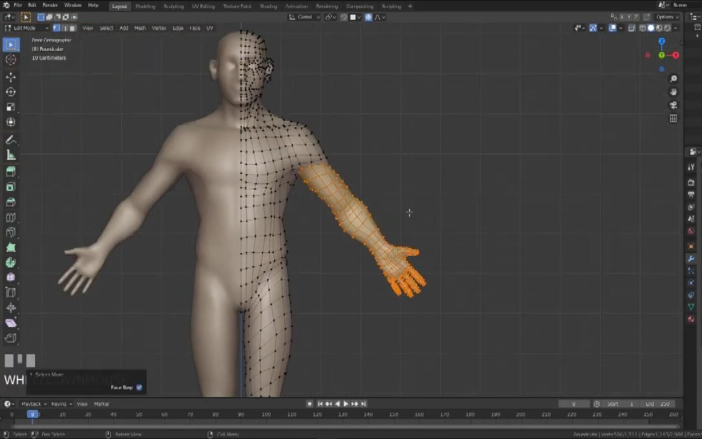 【Blender】blender雕刻入门教程【全集】，全程中文普通话，中文blender3.2软件原创教程（blender雕刻全流程+案例+学习教程）持续更新中-二进制Erin-Blender ...