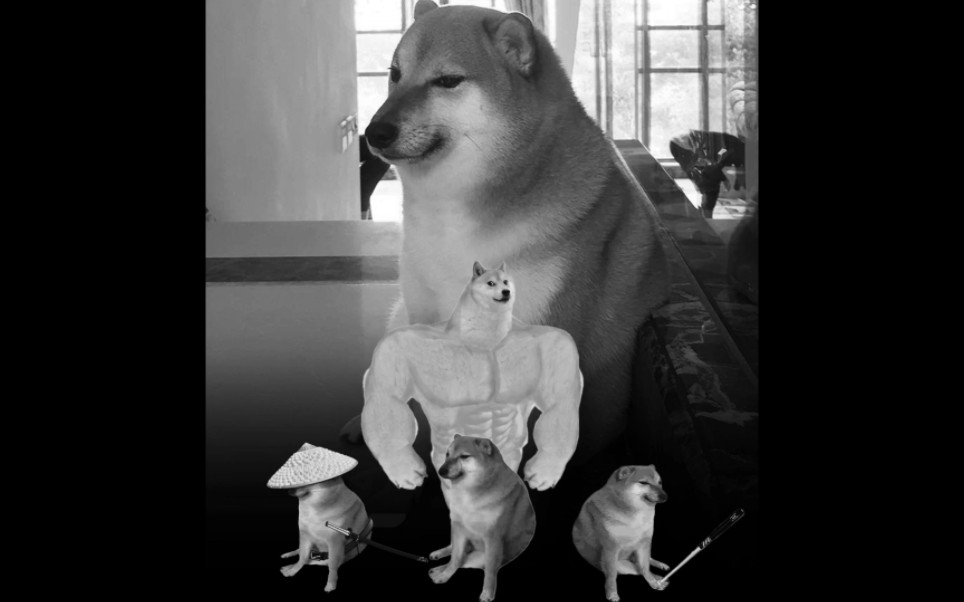 谢谢你cheems-废柴cheems-废柴cheems-哔哩哔哩视频