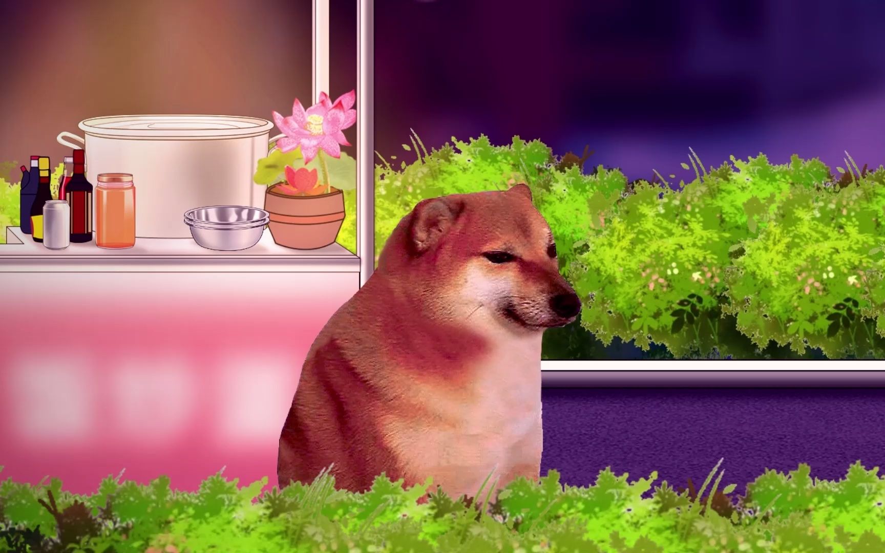 cheems，做跟说永远是两码事-Cheems降临-Cheems降临-哔哩哔哩视频