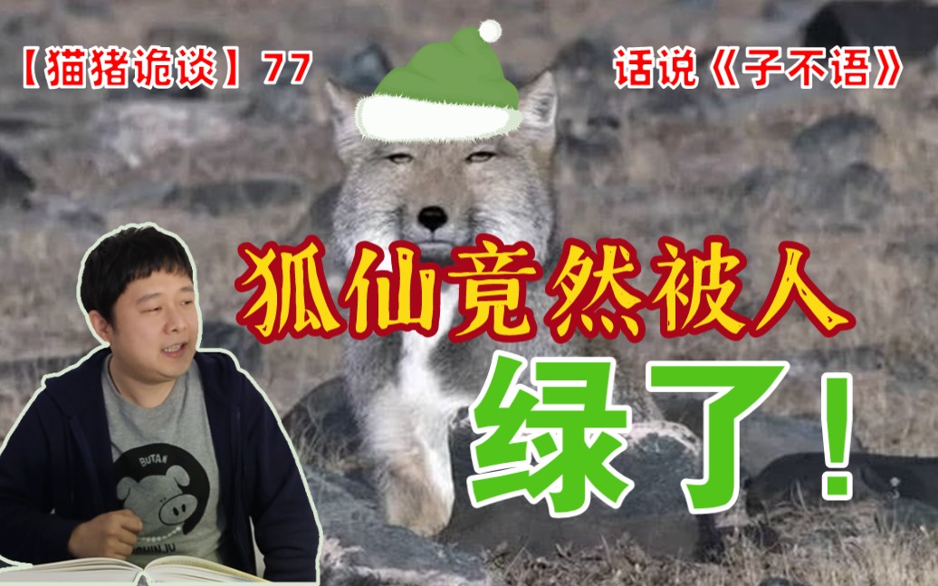 河北小伙给狐仙戴绿帽子竟生下四个半人半兽的怪胎 猫猪神叨叨 猫猪神叨叨 哔哩哔哩视频