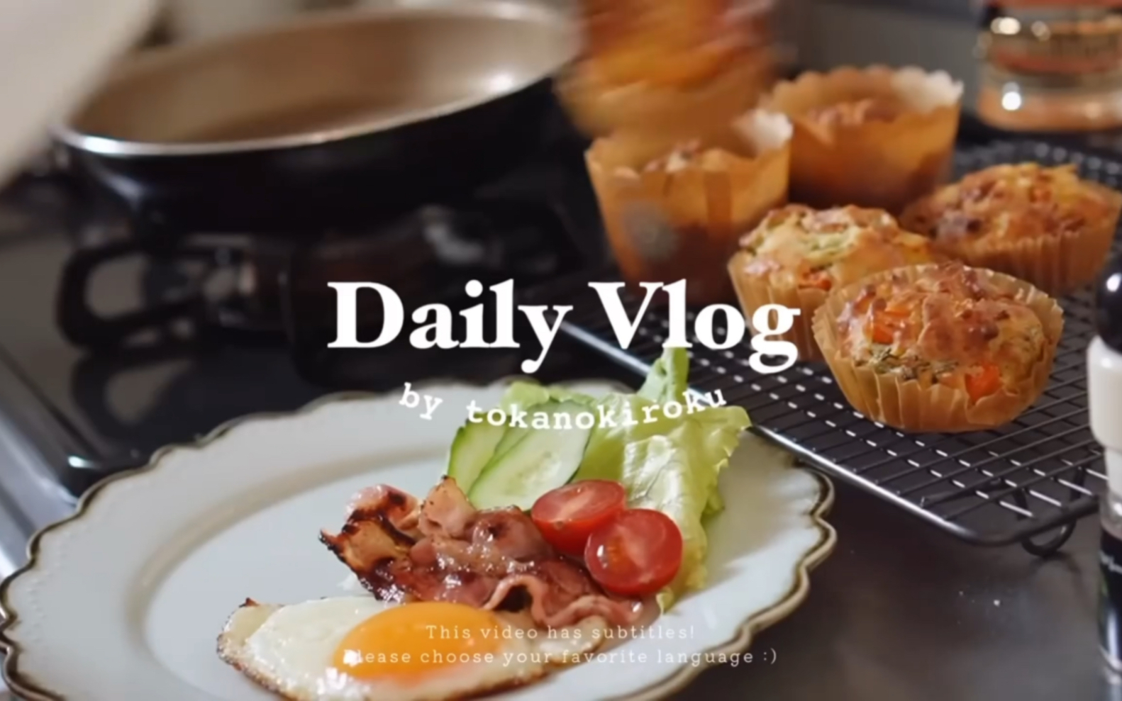 VLOG vlog