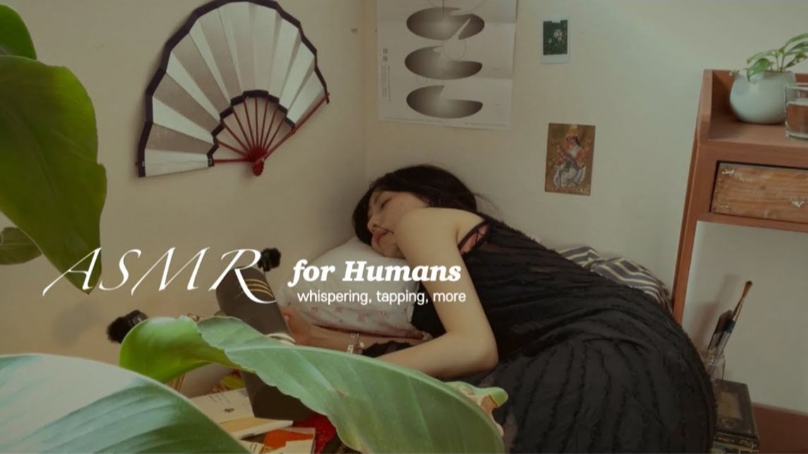 【ASMR/眠音】Hari ASMR 适用于人类｜耳语、敲击等-锦衣缇骑-锦衣缇骑-哔哩哔哩视频