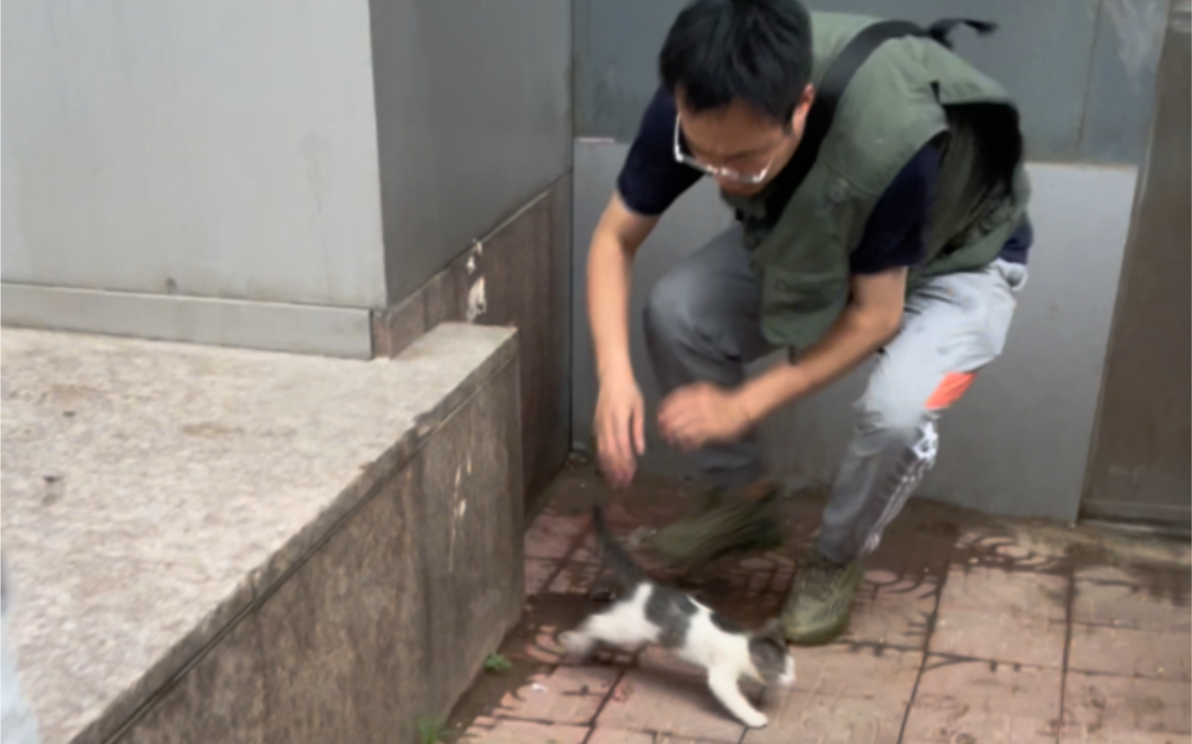 林老师脱不下的长衫,戴不上的手套 本喵叫兔兔 本喵叫兔兔 哔哩哔哩视频