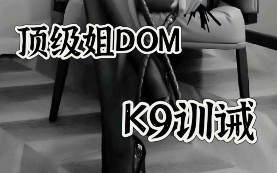 【Dom/白清焰】顶 级 K 9 盛 宴-白清焰-白清焰-哔哩哔哩视频