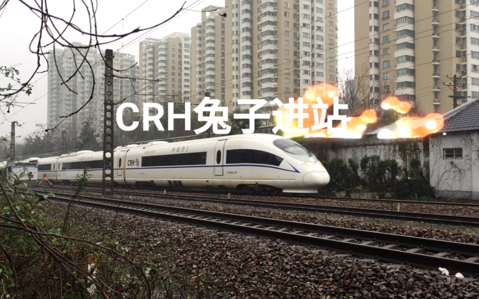 CRH兔子进站_哔哩哔哩_bilibili