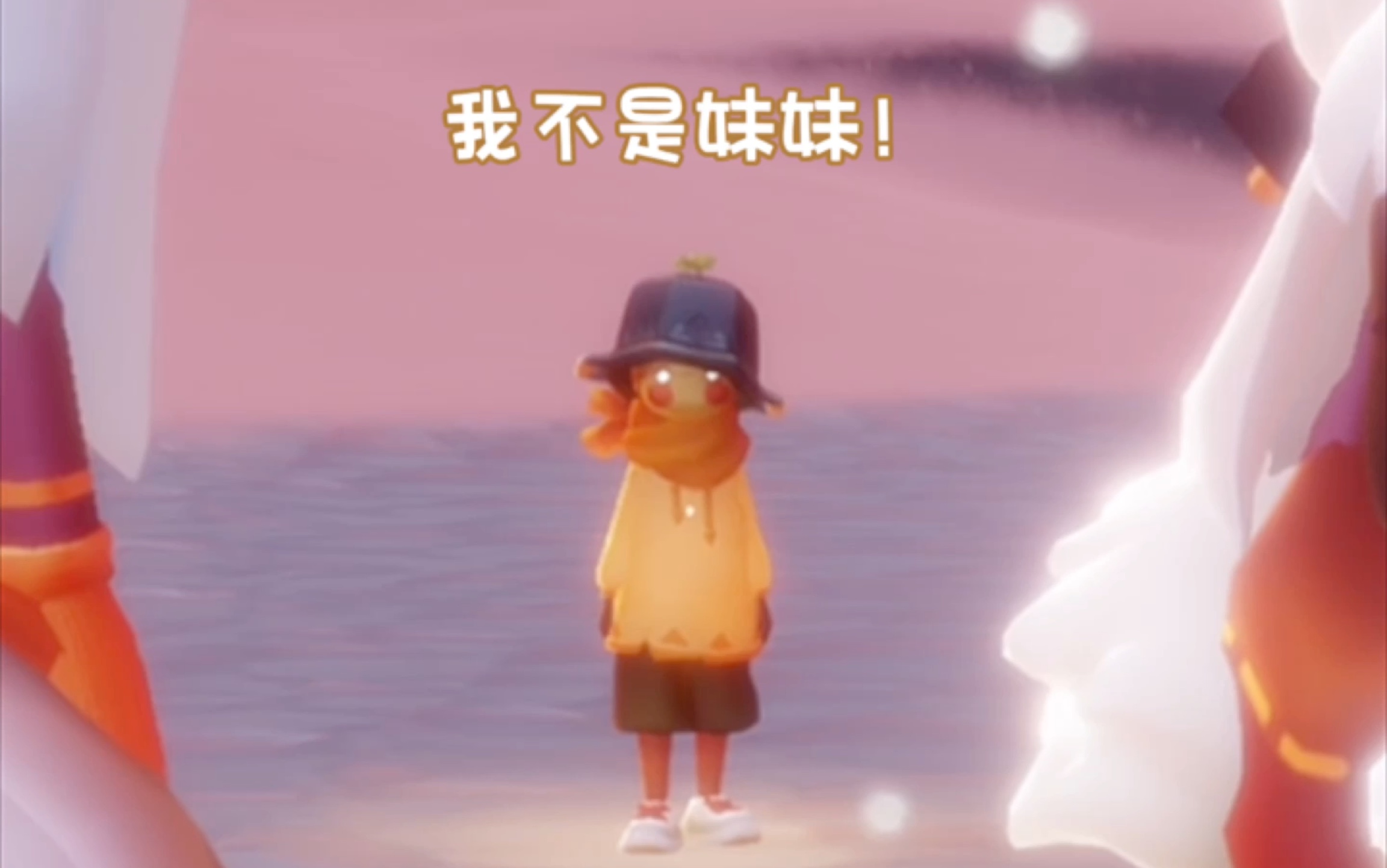 弟弟:出去玩就算了 还给我捡个孩儿回来?! 甜瓜噗噗子 甜瓜噗噗子 哔哩哔哩视频