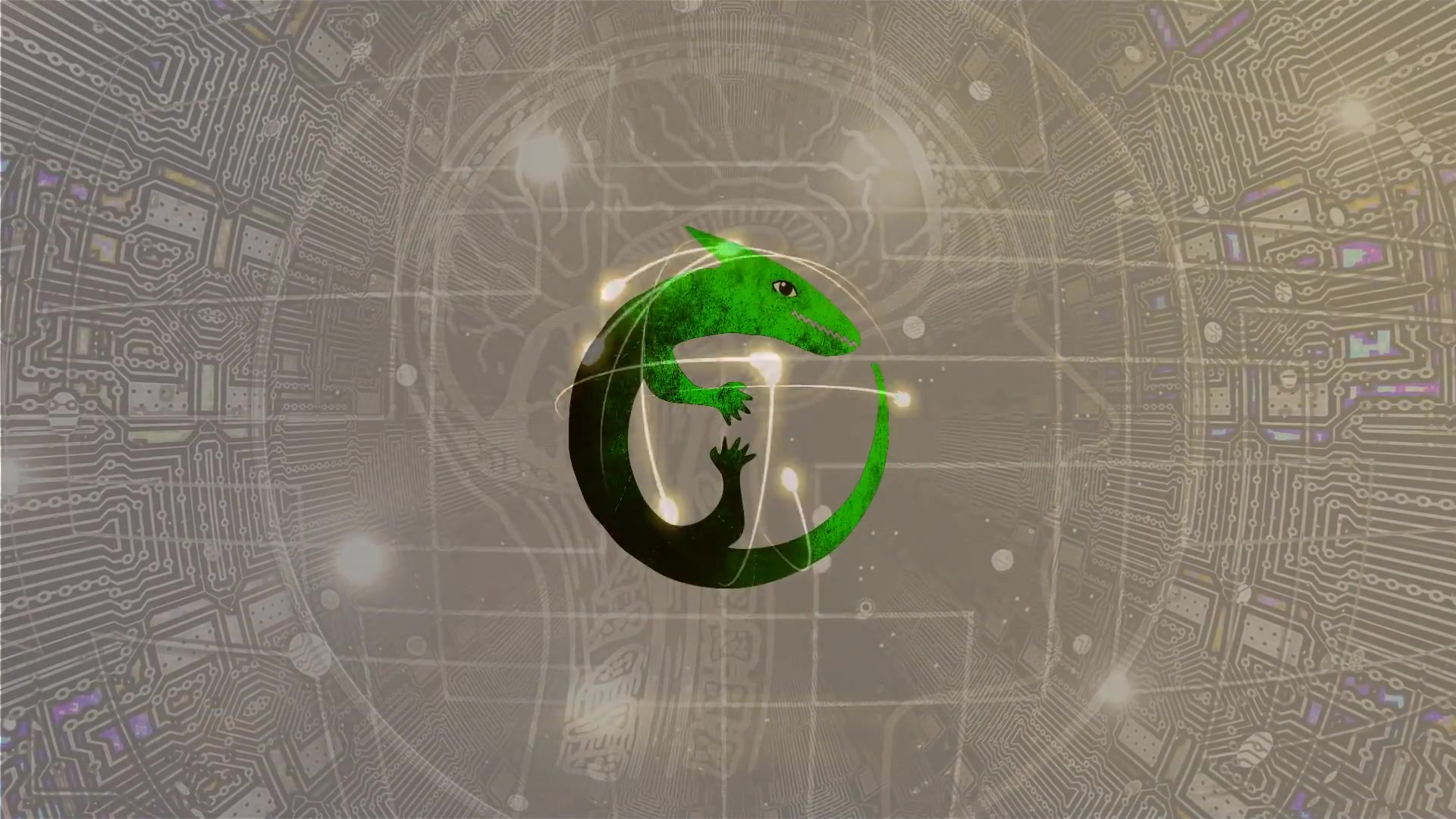 Deeplizard《Pytorch神经网络高效入门教程》中文字幕版_哔哩哔哩_bilibili