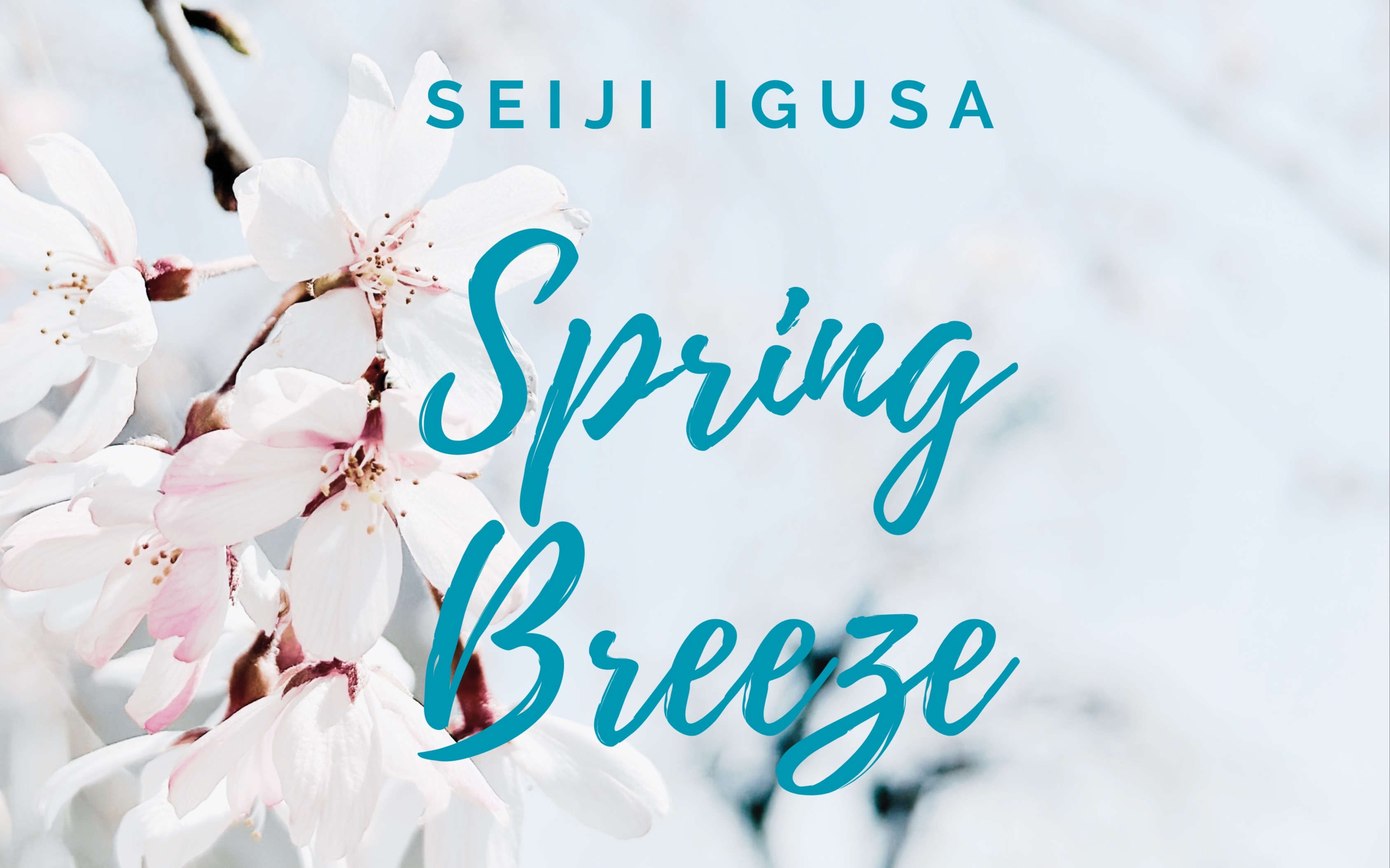 (New Song) Spring Breeze - Seiji Igusa-井草聖二official-井草聖二official-哔哩哔哩视频