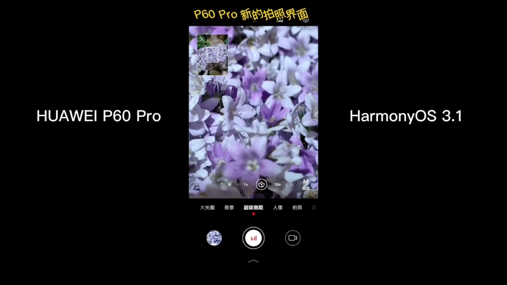 HarmonyOS3.1全新拍照界面！这功能爱啦！ - 视频下载 Video Downloader