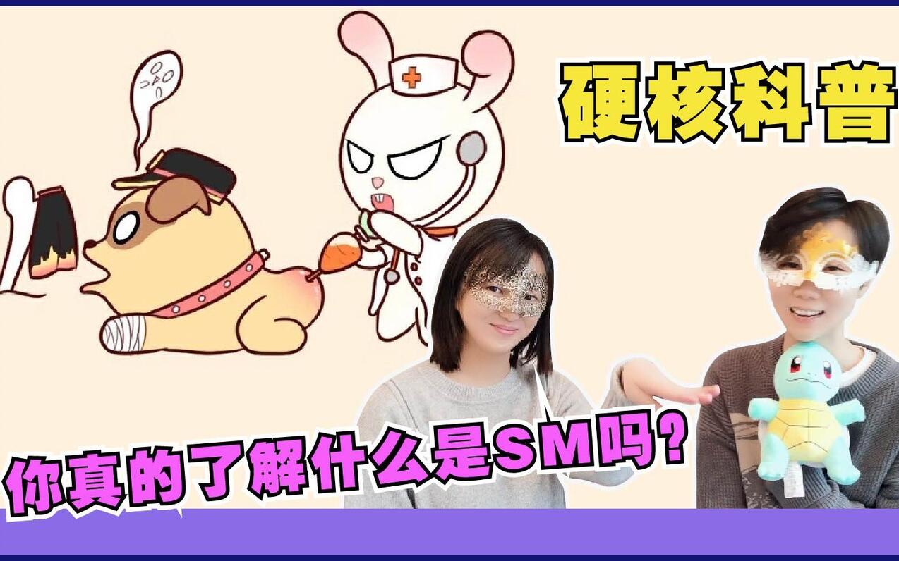 【硬核科普】你真的了解什么是SM吗？理解错了容易出大事 - 哔哩哔哩