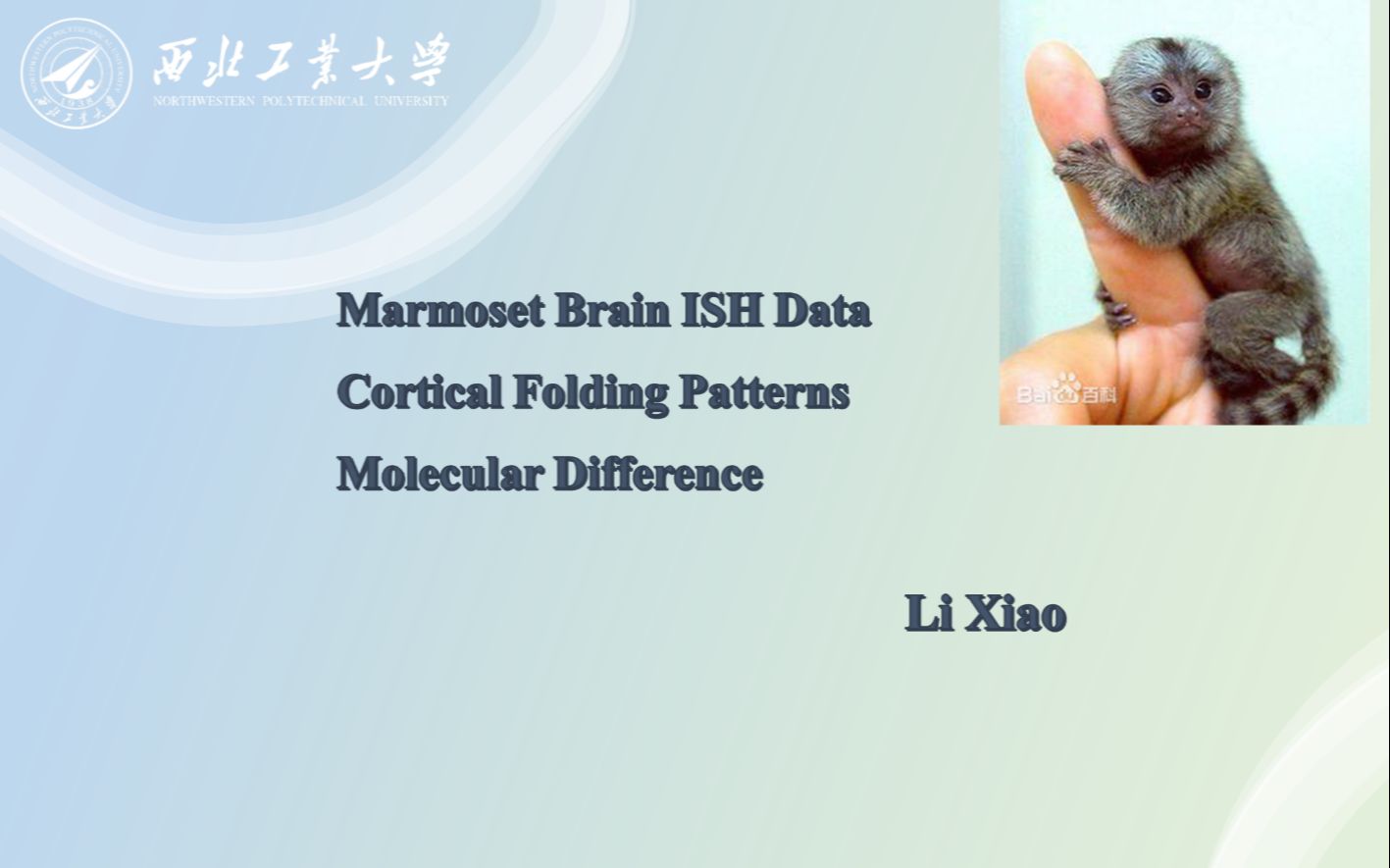 【36】Marmoset Brain ISH Data Revealed Molecular Difference Between ...